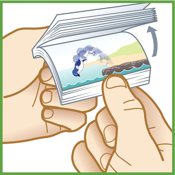 Diving Penguin Flip-Book - Little Aussie Zoo