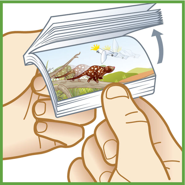 Spotted Quoll Flip-Book - Little Aussie Zoo