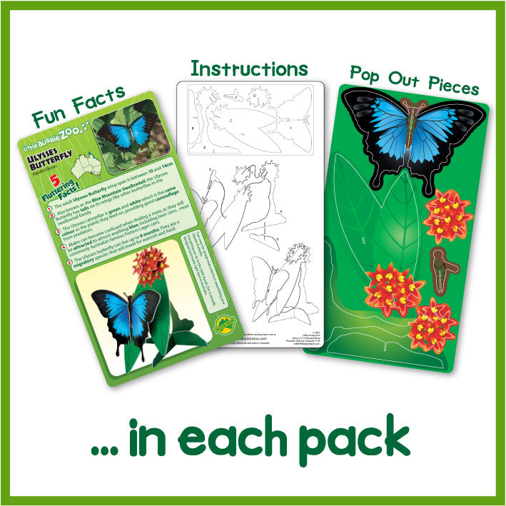 Ulysses Butterfly Pop-Out - Little Aussie Zoo